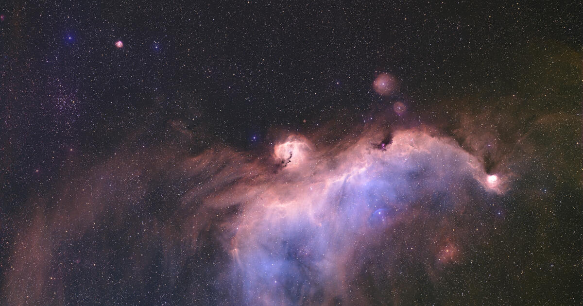 🕊️ The Seagull Nebula – A Cosmic Bird Soaring Through the Stars 🌌💫 | Telescope Live